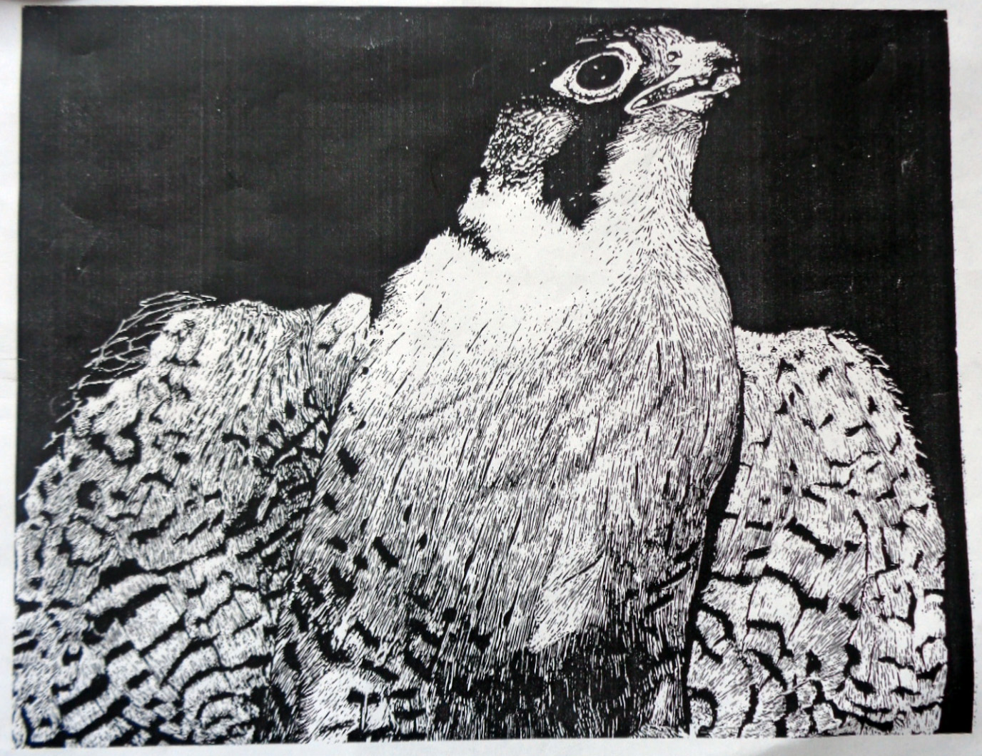 First Falcon – what Was, what Is, and what Will Be