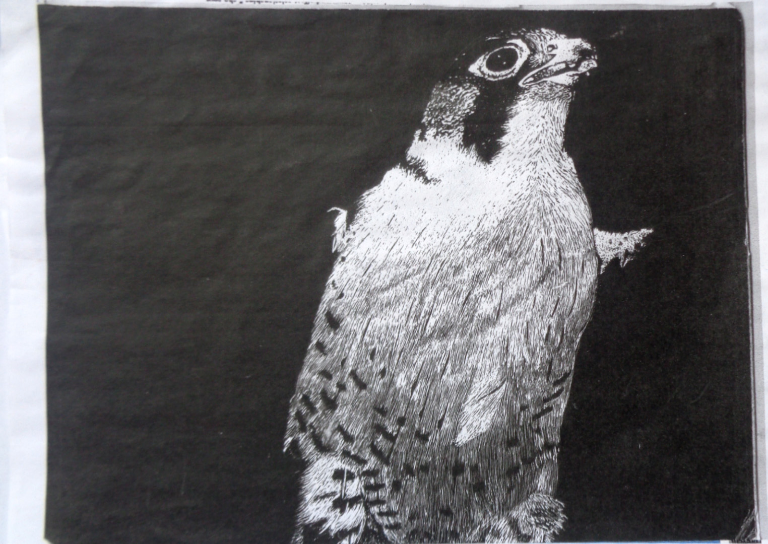 First Falcon – what Was, what Is, and what Will Be