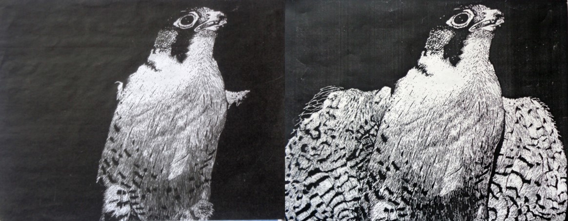 First Falcon – what Was, what Is, and what Will Be